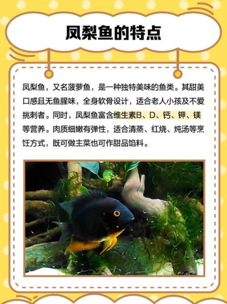 菠萝鱼能长多大_菠萝鱼最大能长多少厘米-第1张图片-山城妙识 菠萝鱼能长多大_菠萝鱼最大能长多少厘米-第1张图片-山城妙识