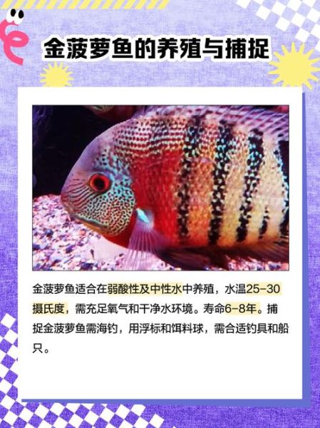 菠萝鱼能长多大_菠萝鱼最大能长多少厘米-第3张图片-山城妙识 菠萝鱼能长多大_菠萝鱼最大能长多少厘米-第3张图片-山城妙识