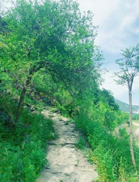 马蹄山村在哪里_马蹄山村有什么好玩的-第3张图片-山城妙识 马蹄山村在哪里_马蹄山村有什么好玩的-第3张图片-山城妙识