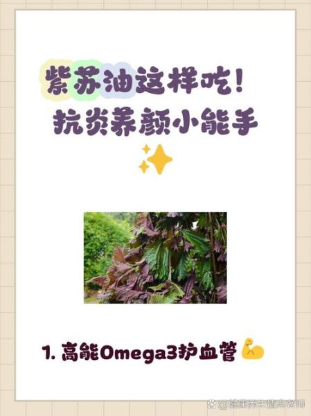 紫苏油不能和什么一起吃_紫苏油副作用有哪些-第2张图片-山城妙识 紫苏油不能和什么一起吃_紫苏油副作用有哪些-第2张图片-山城妙识