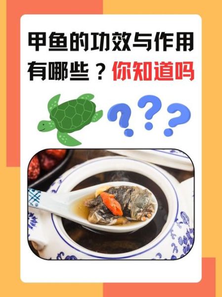 甲鱼功效与作用_甲鱼适合什么人吃-第3张图片-山城妙识 甲鱼功效与作用_甲鱼适合什么人吃-第3张图片-山城妙识