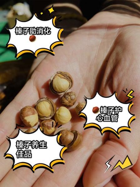 熟榛子的功效与作用_熟榛子一天吃多少粒合适-第1张图片-山城妙识 熟榛子的功效与作用_熟榛子一天吃多少粒合适-第1张图片-山城妙识