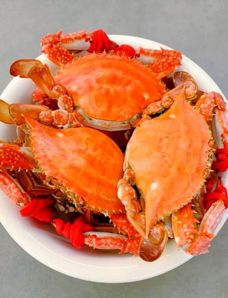 飞蟹怎么保存_飞蟹能放多久-第1张图片-山城妙识