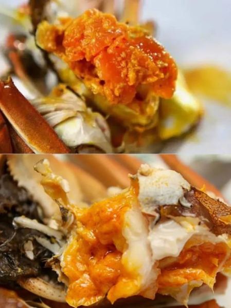 阳澄湖大闸蟹怎么蒸才好吃_清蒸大闸蟹做法步骤-第2张图片-山城妙识