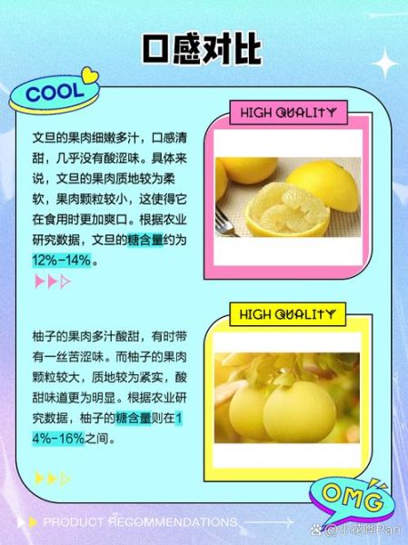 文旦和柚子的区别_文旦和柚子的功效一样吗-第2张图片-山城妙识 文旦和柚子的区别_文旦和柚子的功效一样吗-第2张图片-山城妙识