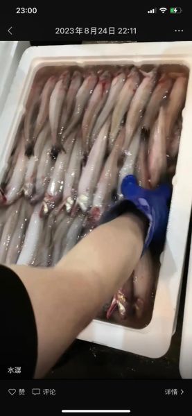 水潺多少钱一斤_水潺价格行情-第1张图片-山城妙识