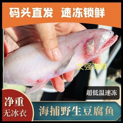 水潺多少钱一斤_水潺价格行情-第3张图片-山城妙识