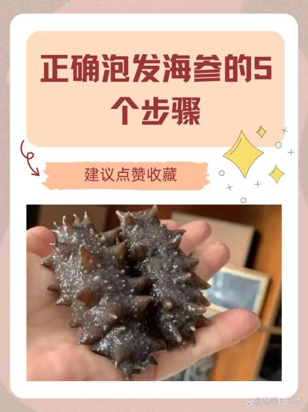 鲜海参怎么泡发_鲜海参的家常做法大全-第1张图片-山城妙识