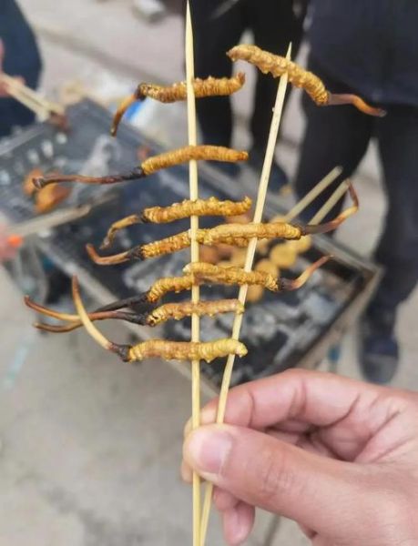 虫草菇怎么做好吃_虫草菇的做法大全-第2张图片-山城妙识 虫草菇怎么做好吃_虫草菇的做法大全-第2张图片-山城妙识