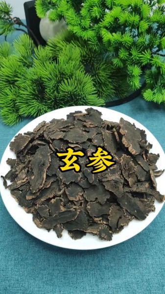 玄参长什么样_玄参图片怎么辨认-第1张图片-山城妙识 玄参长什么样_玄参图片怎么辨认-第1张图片-山城妙识