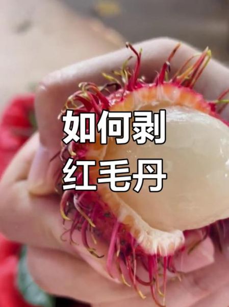 红毛丹怎么吃图解_红毛丹剥壳技巧-第3张图片-山城妙识 红毛丹怎么吃图解_红毛丹剥壳技巧-第3张图片-山城妙识