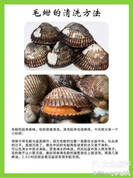 毛蛤蜊的营养价值_毛蛤蜊有哪些营养成分-第2张图片-山城妙识 毛蛤蜊的营养价值_毛蛤蜊有哪些营养成分-第2张图片-山城妙识
