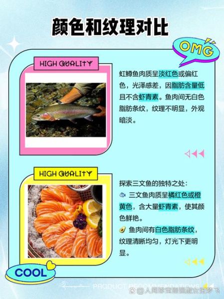 虹鳟鱼和三文鱼的区别_虹鳟鱼图片怎么看真假-第3张图片-山城妙识
