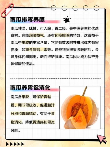 南瓜不能和什么一起吃_南瓜吃多了有什么副作用-第2张图片-山城妙识