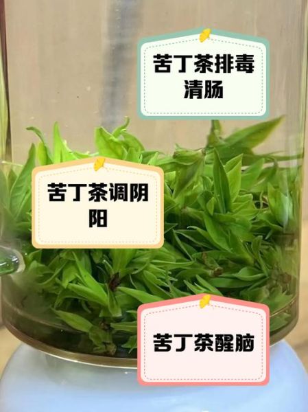 女性喝苦丁茶能减肥吗_经期可以喝苦丁茶吗-第2张图片-山城妙识