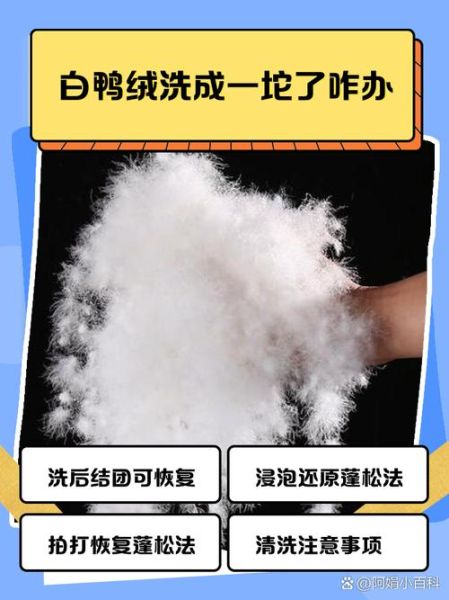 白鸭绒羽绒服怎么洗_白鸭绒羽绒服可以机洗吗-第1张图片-山城妙识