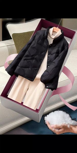 白鸭绒羽绒服怎么洗_白鸭绒羽绒服可以机洗吗-第3张图片-山城妙识