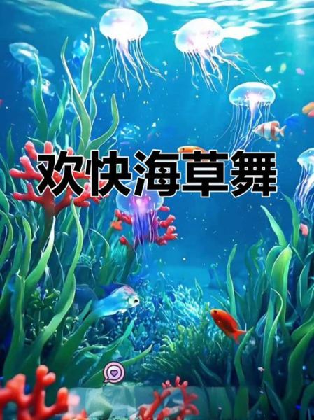 海草舞歌词含义_海草舞怎么跳-第3张图片-山城妙识 海草舞歌词含义_海草舞怎么跳-第3张图片-山城妙识