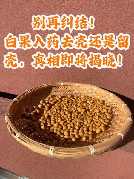 白果怎么去壳_白果去壳最简单的方法-第3张图片-山城妙识