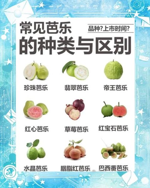 番石榴怎么吃_番石榴要削皮吗-第3张图片-山城妙识