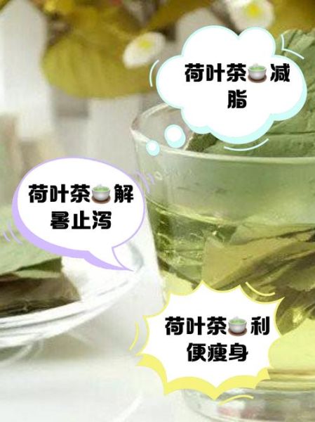 荷叶能减肥吗_荷叶茶副作用有哪些-第2张图片-山城妙识