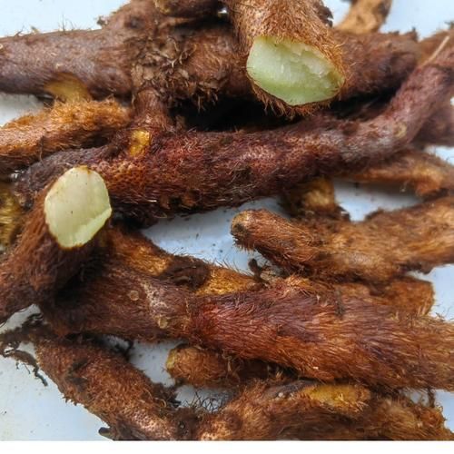 毛姜别名叫什么_毛姜与生姜区别-第2张图片-山城妙识 毛姜别名叫什么_毛姜与生姜区别-第2张图片-山城妙识