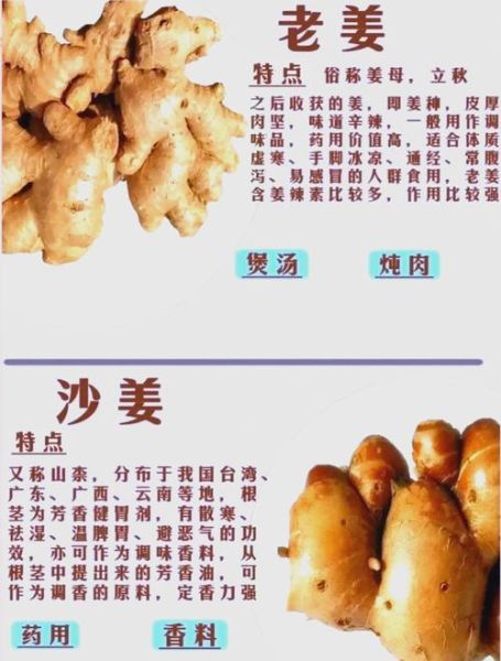 毛姜别名叫什么_毛姜与生姜区别-第1张图片-山城妙识 毛姜别名叫什么_毛姜与生姜区别-第1张图片-山城妙识