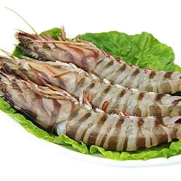 竹节虾多少钱一斤_竹节虾价格走势-第3张图片-山城妙识