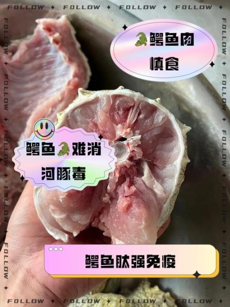 鳄鱼肉的禁忌_哪些人不能吃鳄鱼肉-第1张图片-山城妙识