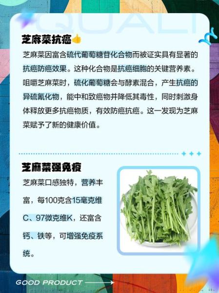 芝麻菜的功效与禁忌_什么人不能吃-第2张图片-山城妙识