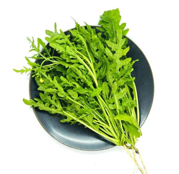 芝麻菜的功效与禁忌_什么人不能吃-第3张图片-山城妙识