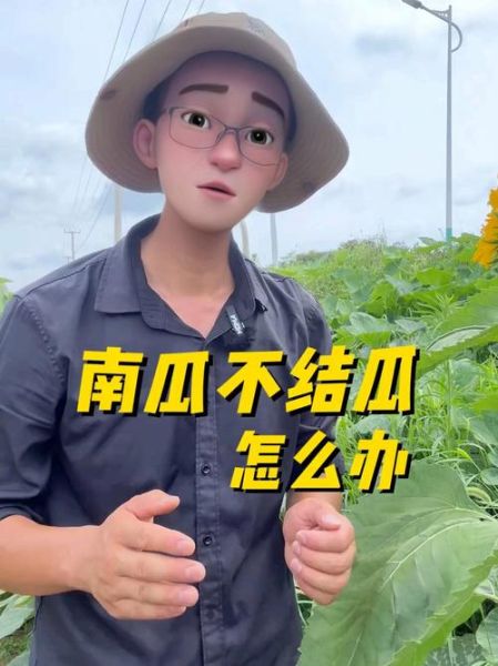 南瓜视频在线观看_南瓜视频打不开怎么办-第1张图片-山城妙识 南瓜视频在线观看_南瓜视频打不开怎么办-第1张图片-山城妙识