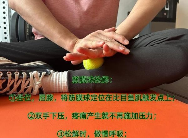 比目鱼肌怎么练_比目鱼肌训练动作-第2张图片-山城妙识