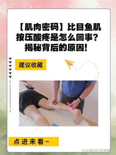 比目鱼肌怎么练_比目鱼肌训练动作-第3张图片-山城妙识