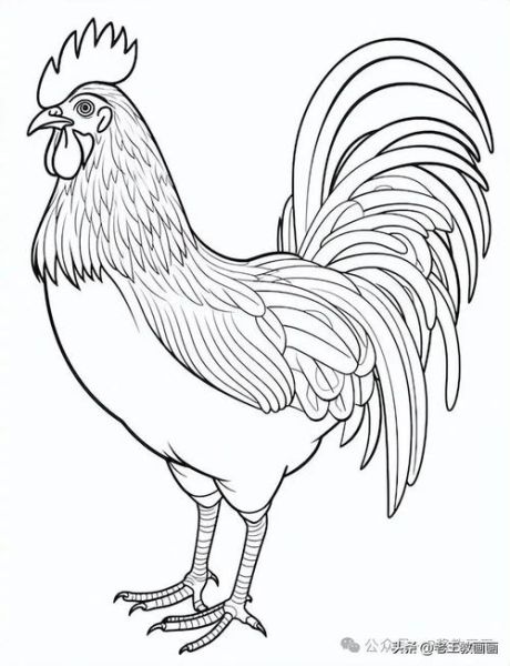 公鸡图片怎么画_公鸡图片简笔画教程-第2张图片-山城妙识