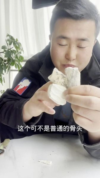 龙骨是什么药材_龙骨图片长什么样-第2张图片-山城妙识