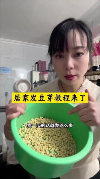 怎么生豆芽_在家生豆芽的方法-第3张图片-山城妙识