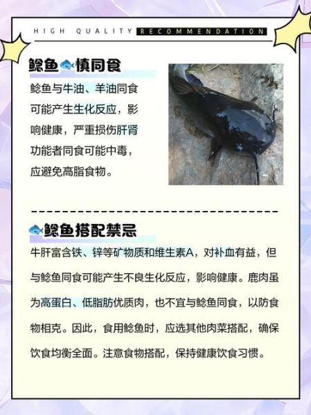 鲶鱼的营养价值及功效_鲶鱼什么人不能吃-第2张图片-山城妙识