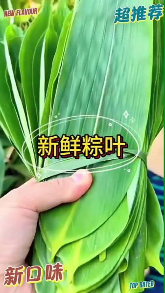 包粽子需要准备哪些材料_新手第一次包粽子用什么粽叶-第3张图片-山城妙识