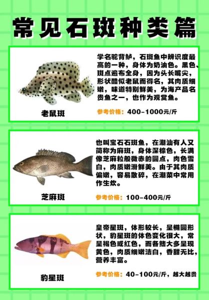 石斑鱼有哪些常见种类_如何区分石斑鱼品种-第3张图片-山城妙识