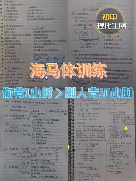 海马体记忆训练有用吗_海马体如何提高记忆力-第3张图片-山城妙识 海马体记忆训练有用吗_海马体如何提高记忆力-第3张图片-山城妙识