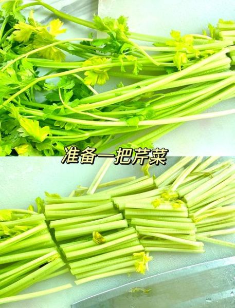 芹菜降血压怎么吃_芹菜减肥的正确方法-第2张图片-山城妙识
