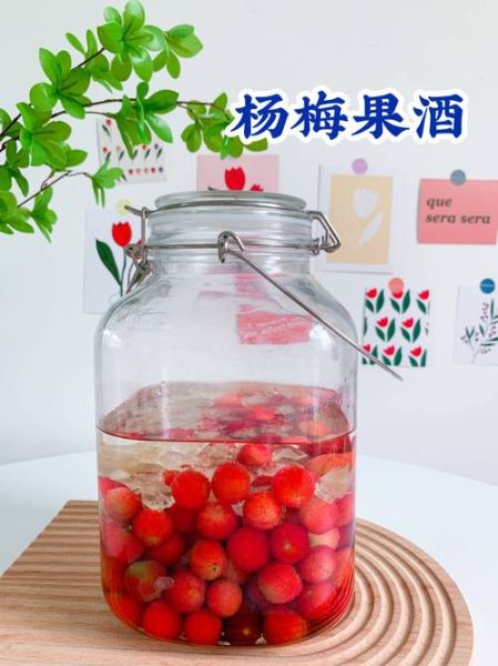泡杨梅酒用什么酒好_泡杨梅酒要不要去核-第1张图片-山城妙识 泡杨梅酒用什么酒好_泡杨梅酒要不要去核-第1张图片-山城妙识