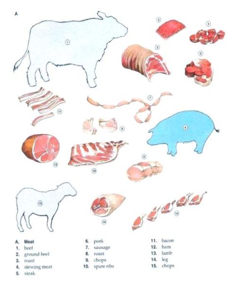 肉的英文怎么写_meat还是flesh区别在哪-第2张图片-山城妙识