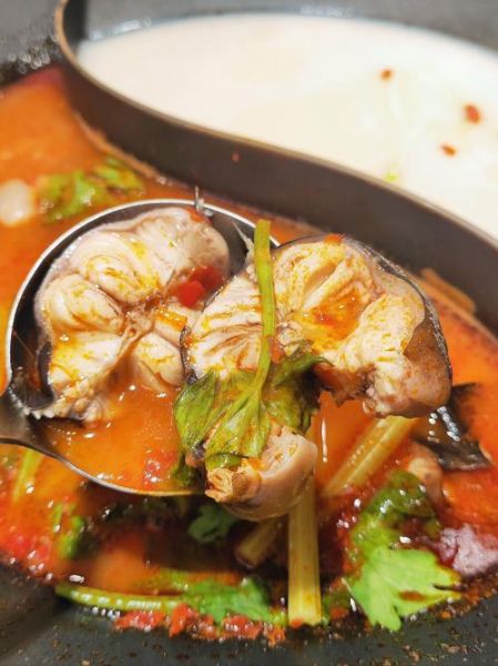 江鲢鱼火锅怎么做_江鲢鱼火锅底料配方-第2张图片-山城妙识 江鲢鱼火锅怎么做_江鲢鱼火锅底料配方-第2张图片-山城妙识