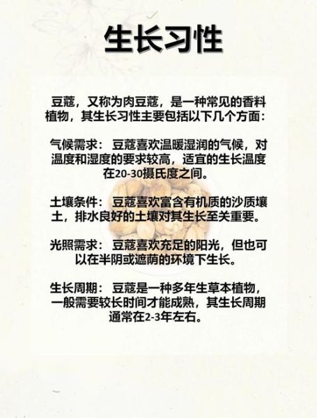 红豆蔻的功效与作用_红豆蔻怎么吃效果最好-第1张图片-山城妙识