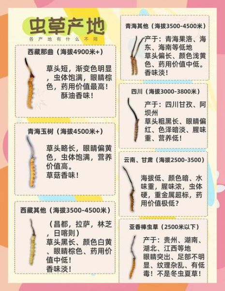 虫草的功效与作用禁忌_虫草怎么吃才有效-第2张图片-山城妙识