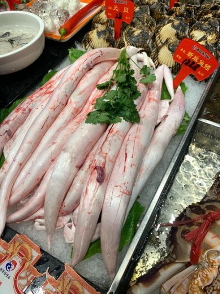 正宗鱼鳔的做法_鱼鳔怎么做好吃-第3张图片-山城妙识 正宗鱼鳔的做法_鱼鳔怎么做好吃-第3张图片-山城妙识