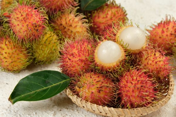 红毛丹上火吗_红毛丹吃多了会怎样-第1张图片-山城妙识 红毛丹上火吗_红毛丹吃多了会怎样-第1张图片-山城妙识