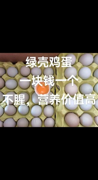 绿壳鸡蛋和普通鸡蛋的区别_绿壳鸡蛋营养价值高吗-第3张图片-山城妙识